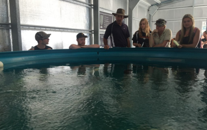 Things To Do - Karumba Point Sunset Caravan Park